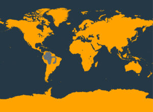 Amazonas-Flussdelfin | WDC Kids